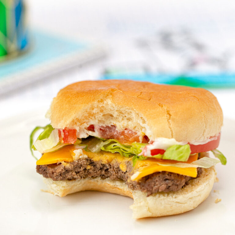 Microwave Cheeseburger Recipe- Dorm Room Cook